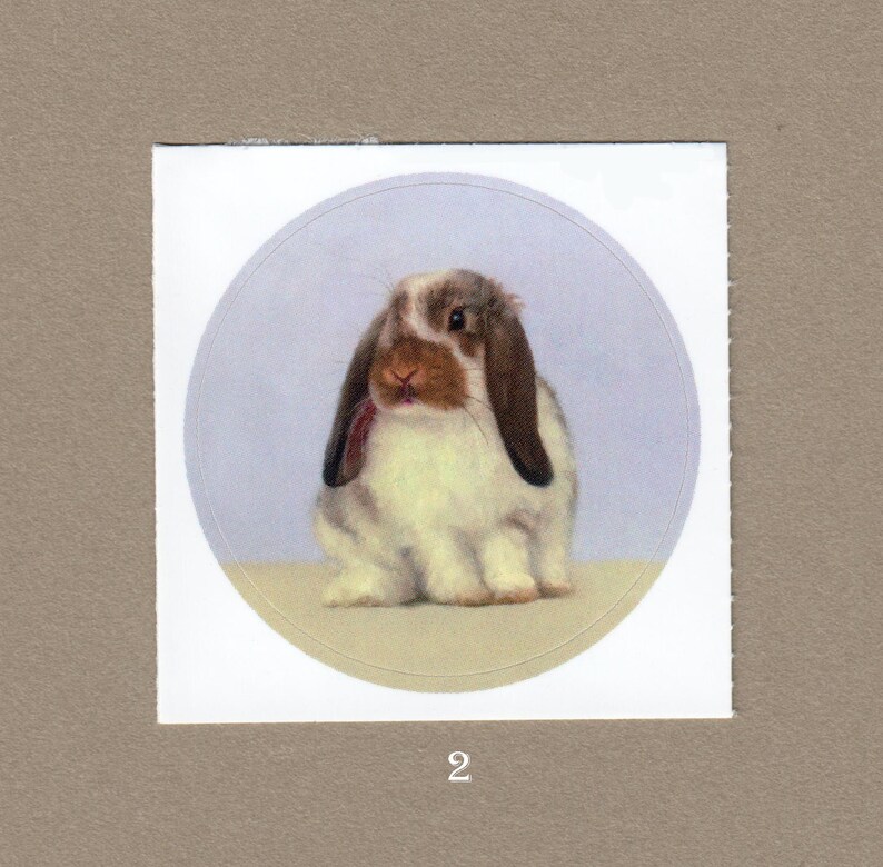 Bunny Stickers. Realistic Animal Stickers. Art Stickers. | Etsy