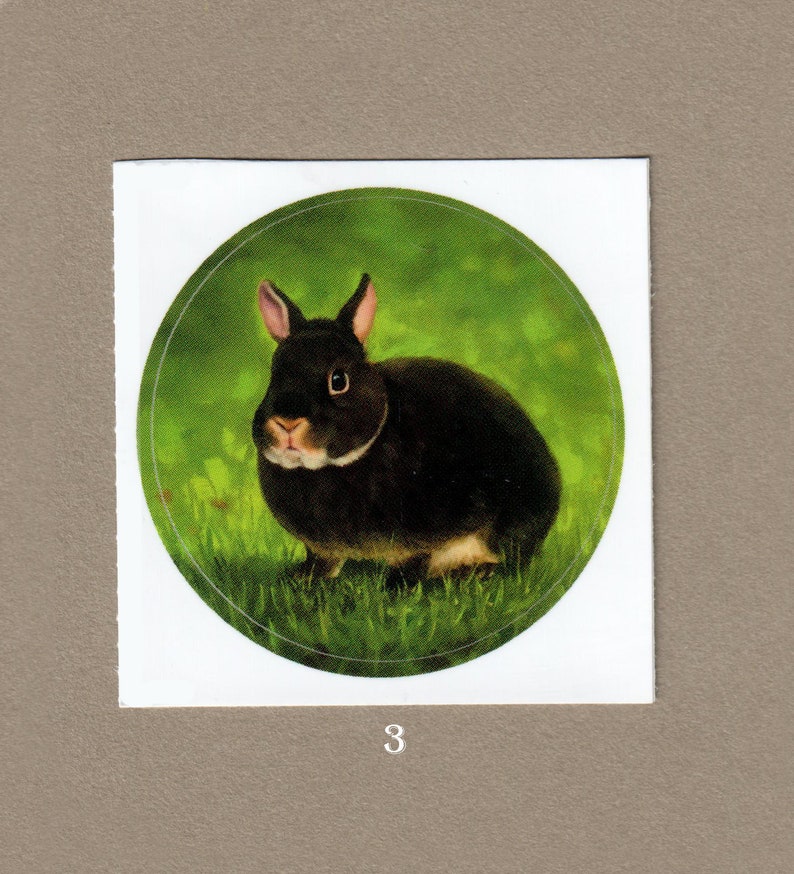 Bunny Stickers. Realistic Animal Stickers. Art Stickers. | Etsy