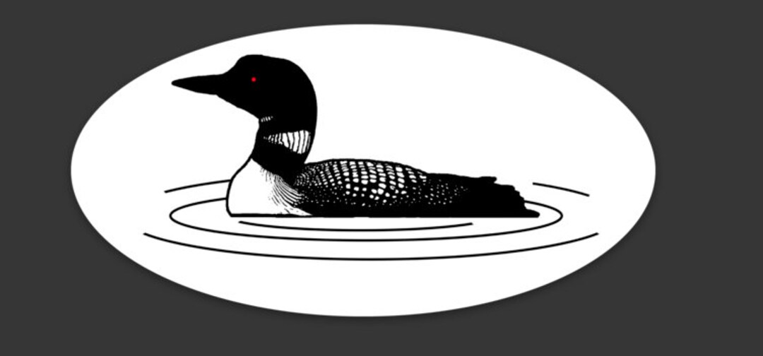 Loon Sticker, Vinyl Sticker, Bumper Sticker, Water Bottle Sticker, Bird ...