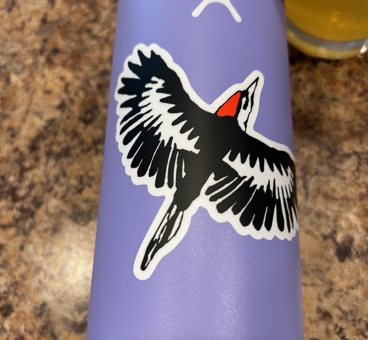 Pileated Woodpecker Vinyl Sticker (3.15 X 4 Inches) - Etsy
