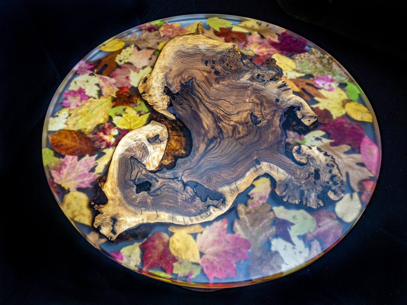 Black Walnut X Fall Foliage Round Table - Etsy
