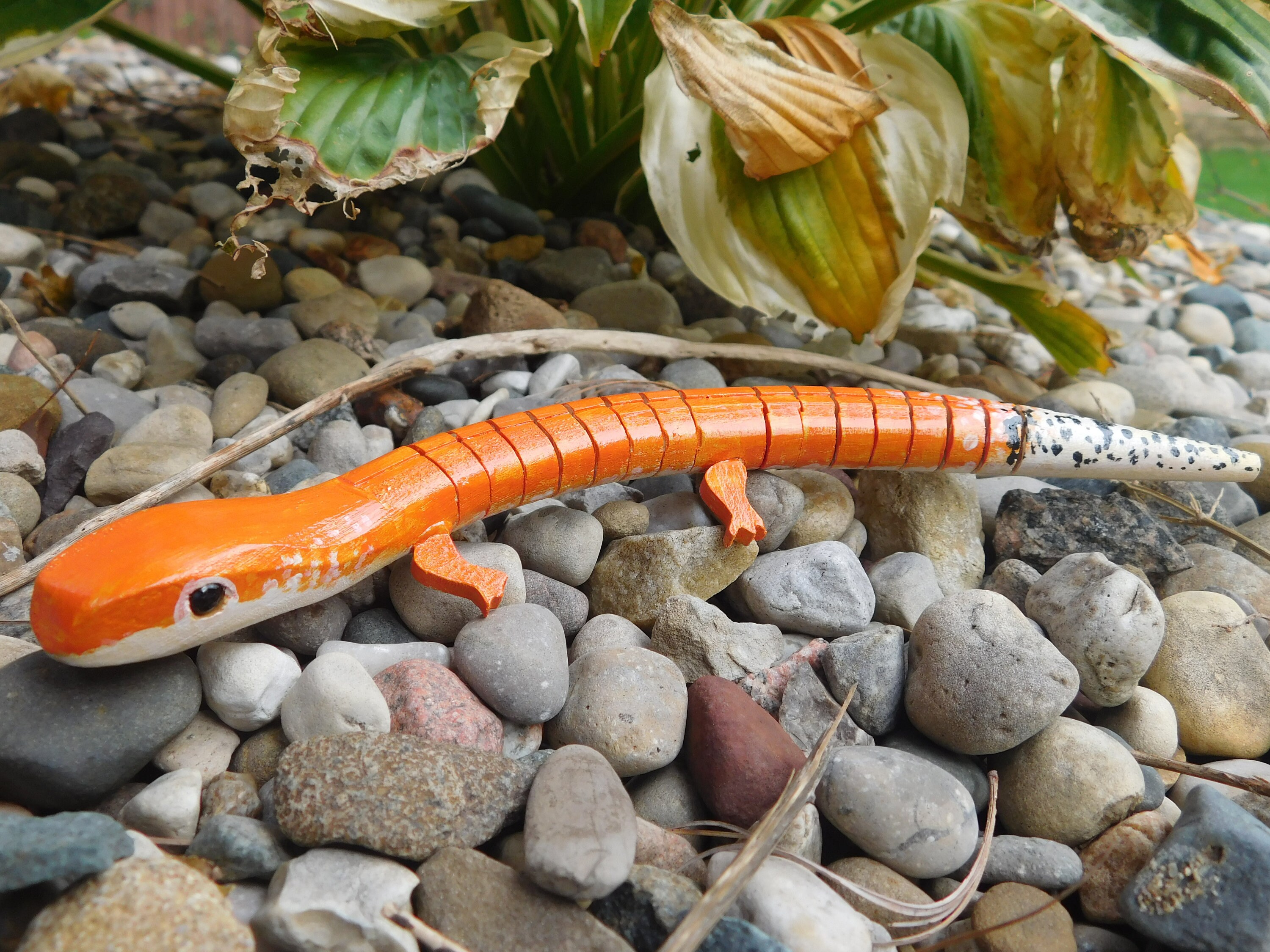 Tangerine Tornado Leopard Gecko