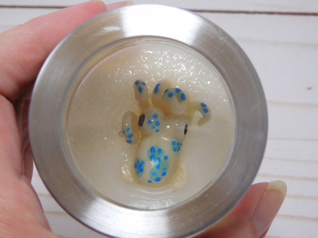 Squid in a Jar Bobtail Squid Forever Pet Cthulhu Desk Pet - Etsy Hong Kong
