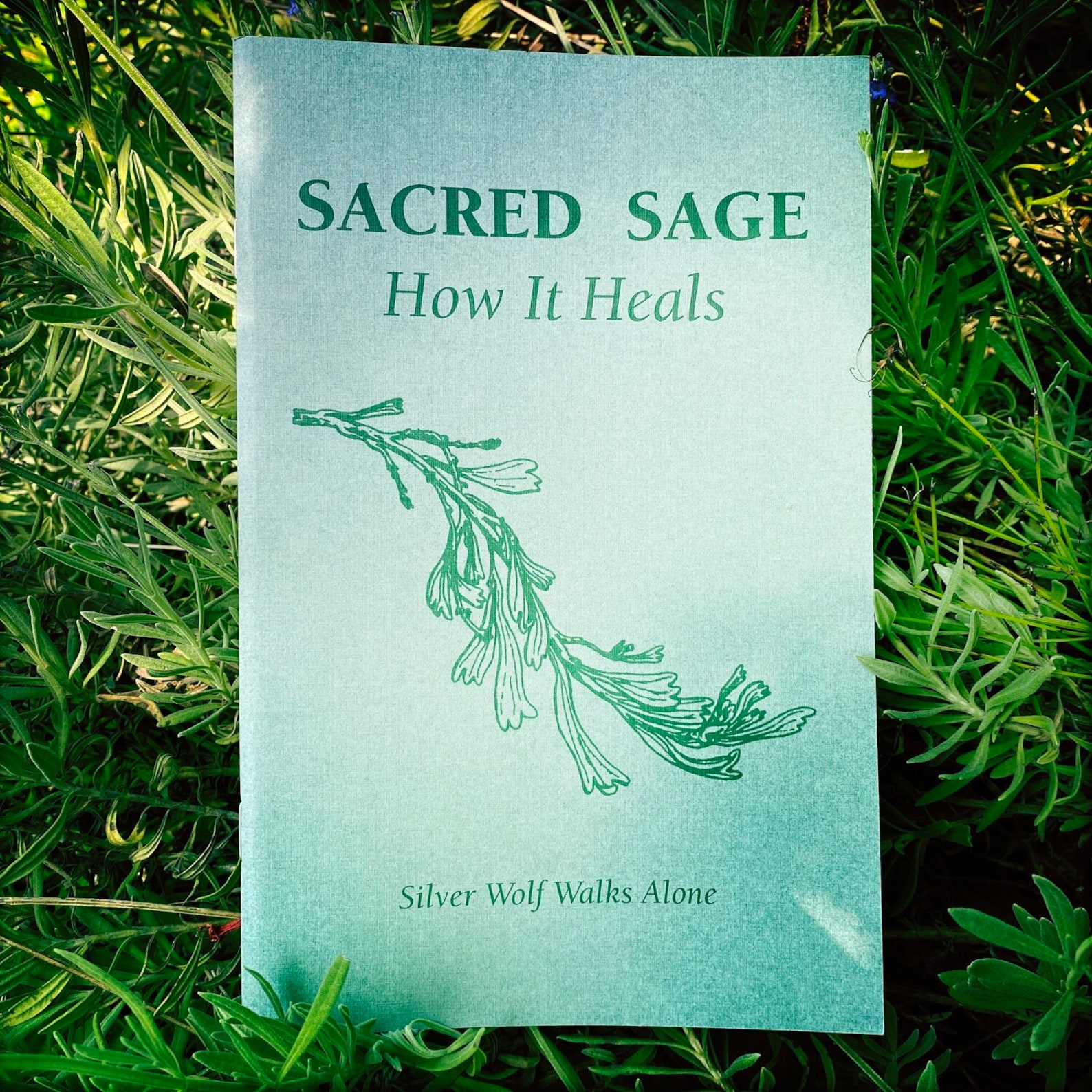 A Must Have Book Written About Sacred Sage How It Heals | Etsy