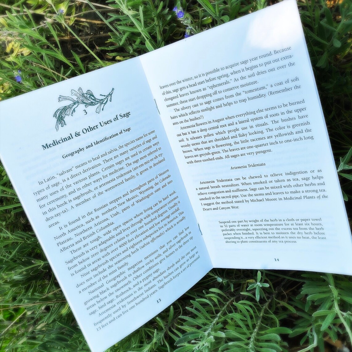 A Must Have Book Written About Sacred Sage How It Heals | Etsy