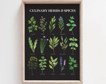 Herbs Poster - Etsy Canada