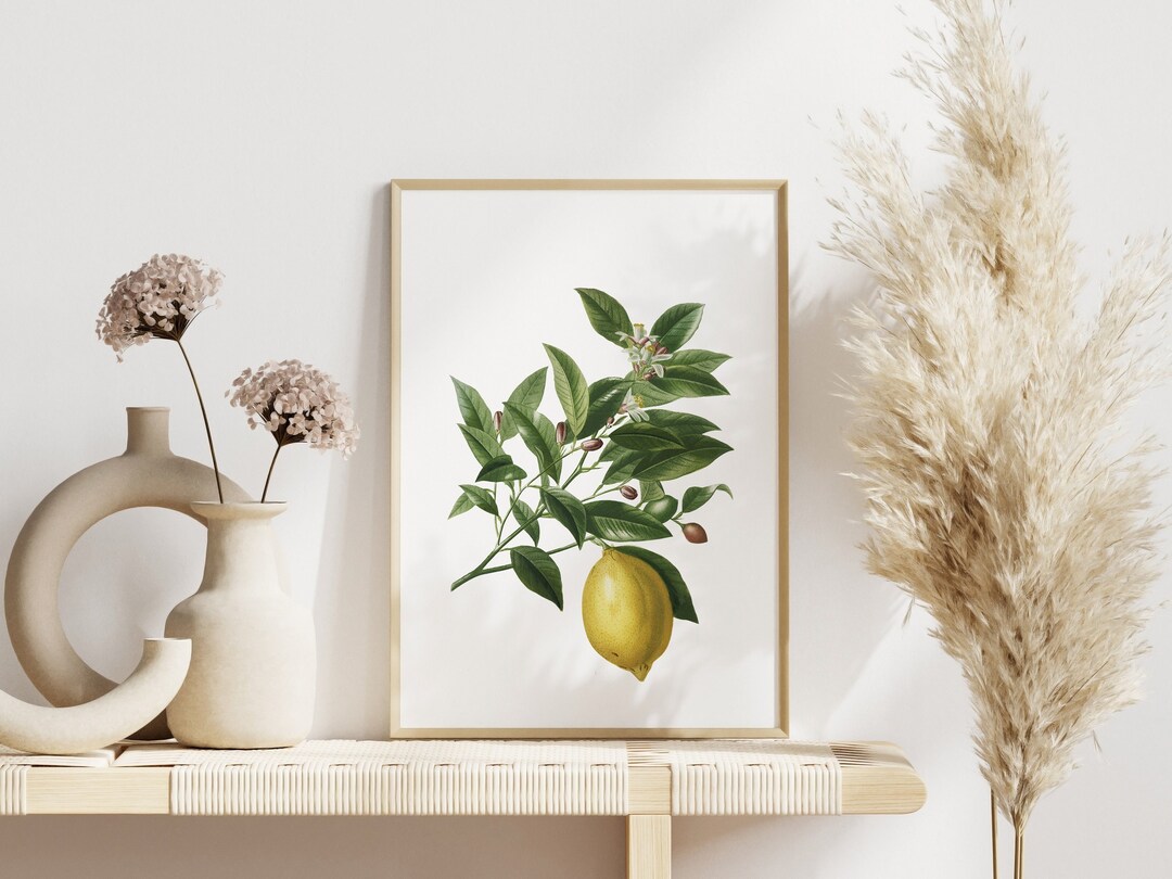 Vintage Lemon Print, Vintage Kitchen Art, Lemon Painting, Lemon Wall ...