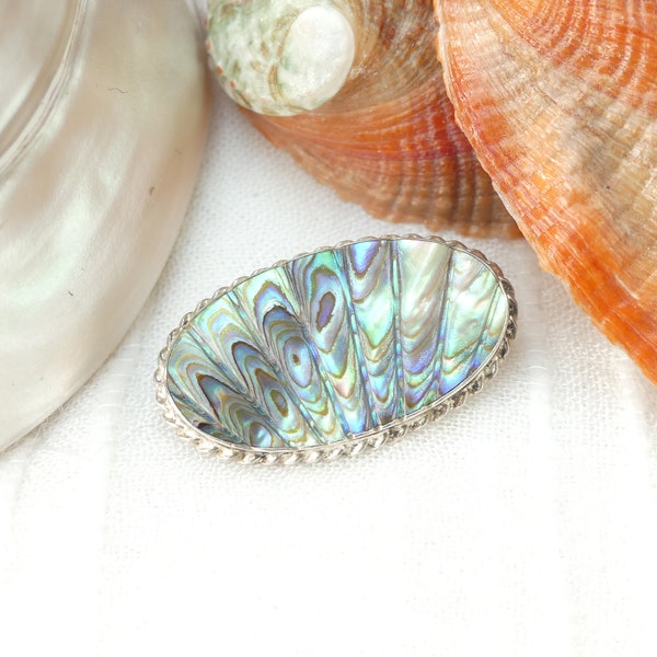 Shell Brooch - Etsy