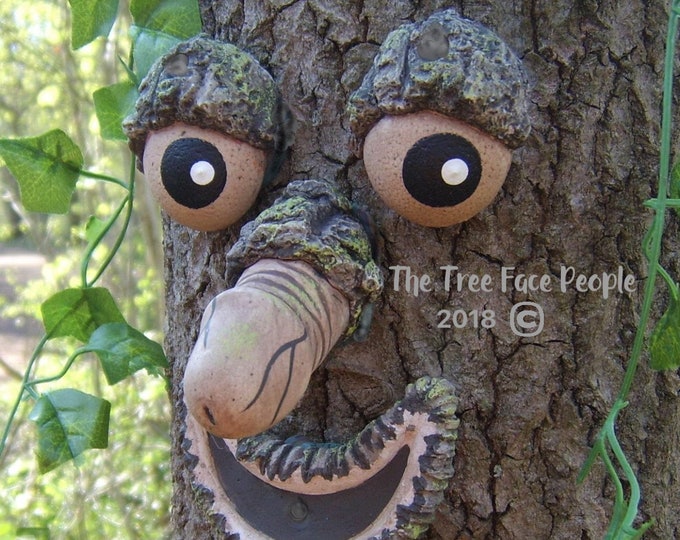 Willy the Tree Face. Funny Faces for Trees. Outdoor Sculpture, Statue ...