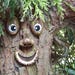 Willy the Tree Face. Funny Faces for Trees. Outdoor Sculpture, Statue ...