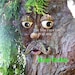 Willy the Tree Face. Funny Faces for Trees. Outdoor Sculpture, Statue ...