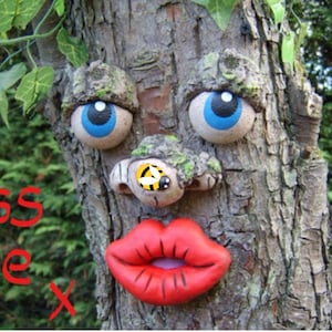 Funny Faces for Trees With Blue Eyes and Red Lips. Lady Face Sculpture ...