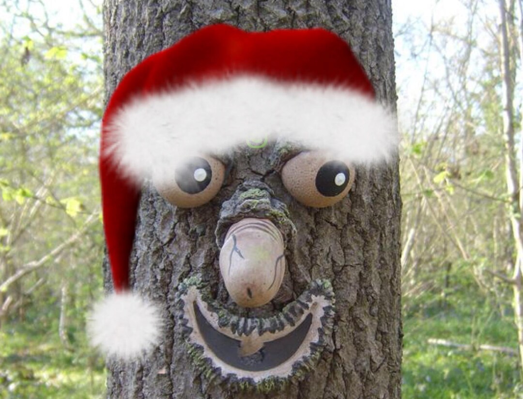 Willy the Tree Face. Funny Faces for Trees. Outdoor Sculpture, Statue ...