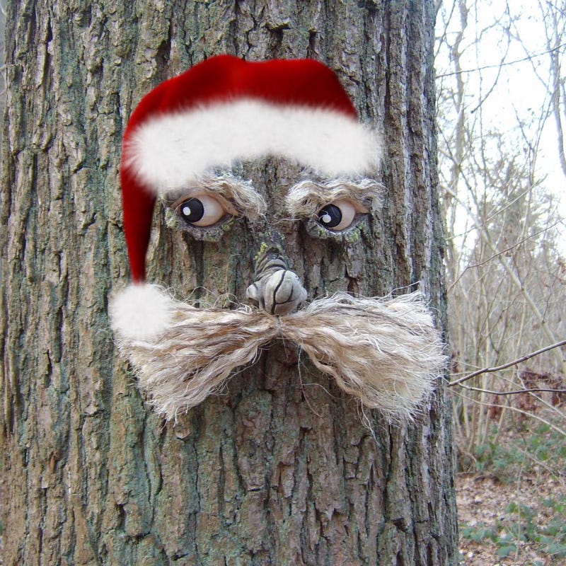 TheTreeFacePeople - Etsy