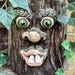 Willy the Tree Face. Funny Faces for Trees. Outdoor Sculpture, Statue ...