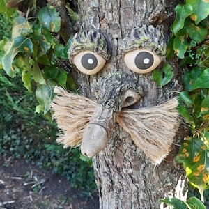Willy the Tree Face. Funny Faces for Trees. Outdoor Sculpture, Statue ...