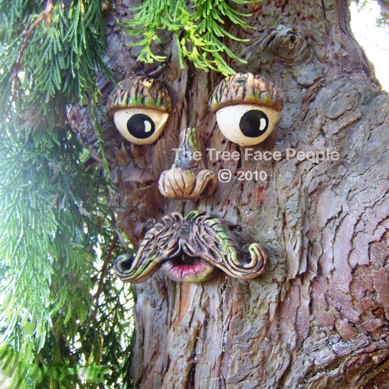 Tree Faces - Etsy