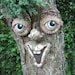 Willy the Tree Face. Funny Faces for Trees. Outdoor Sculpture, Statue ...