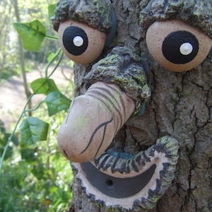 Willy the Tree Face. Funny Faces for Trees. Outdoor Sculpture, Statue ...