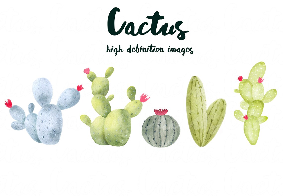 Watercolor Cactus Clipart Desert Watercolor Succulent | Etsy