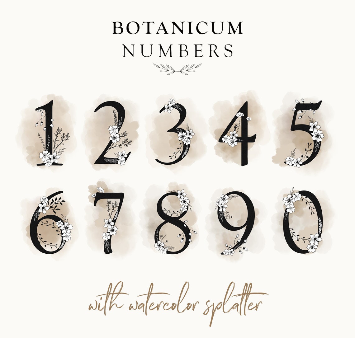 Numbers Clipart, Botanical Clipart, Table Numbers Png, Floral Line Art ...