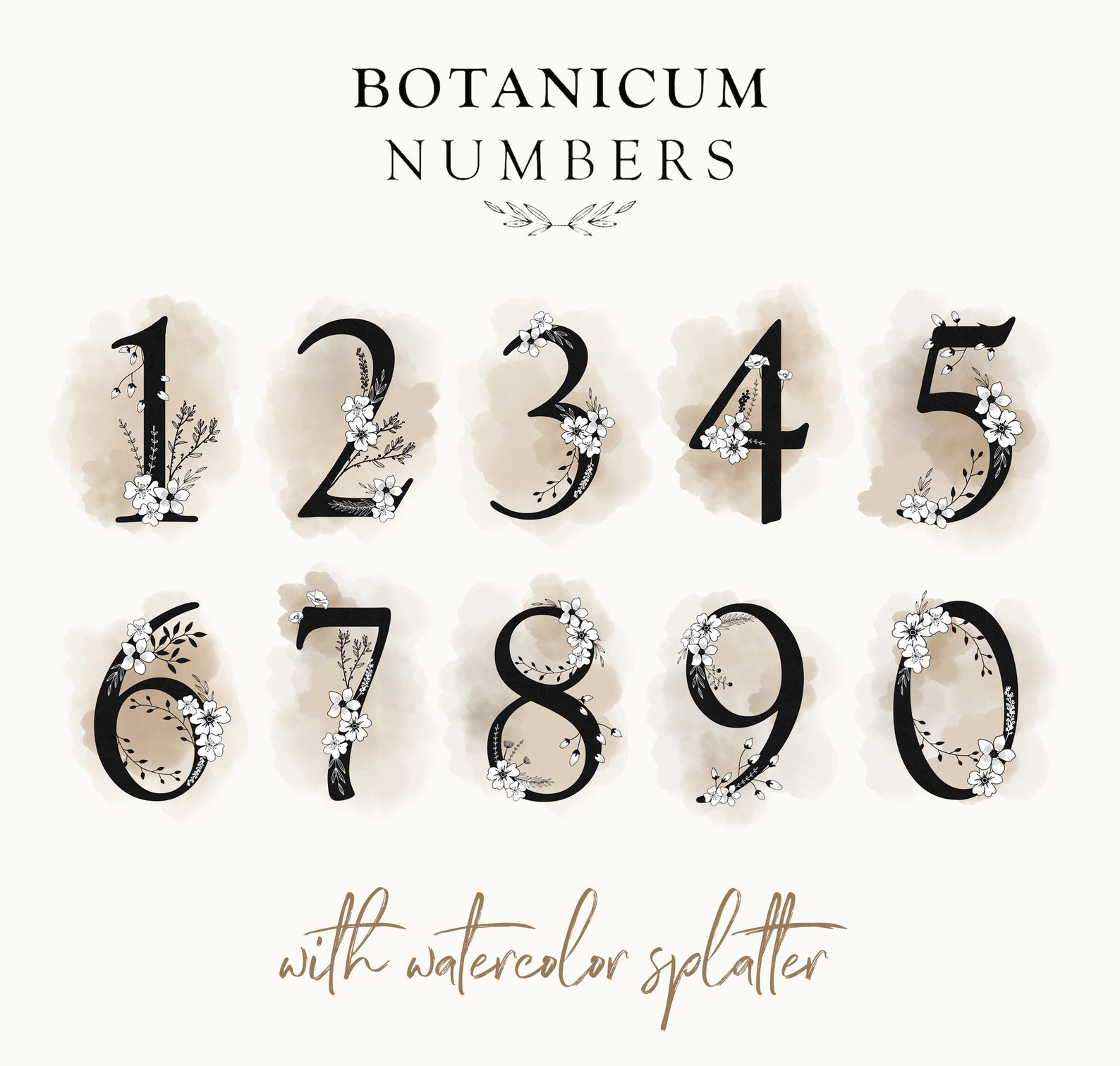 Numbers Clipart, Botanical Clipart, Table Numbers Png, Floral Line Art ...