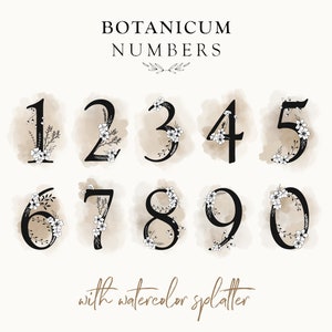 Numbers Clipart, Botanical Clipart, Table Numbers Png, Floral Line Art ...