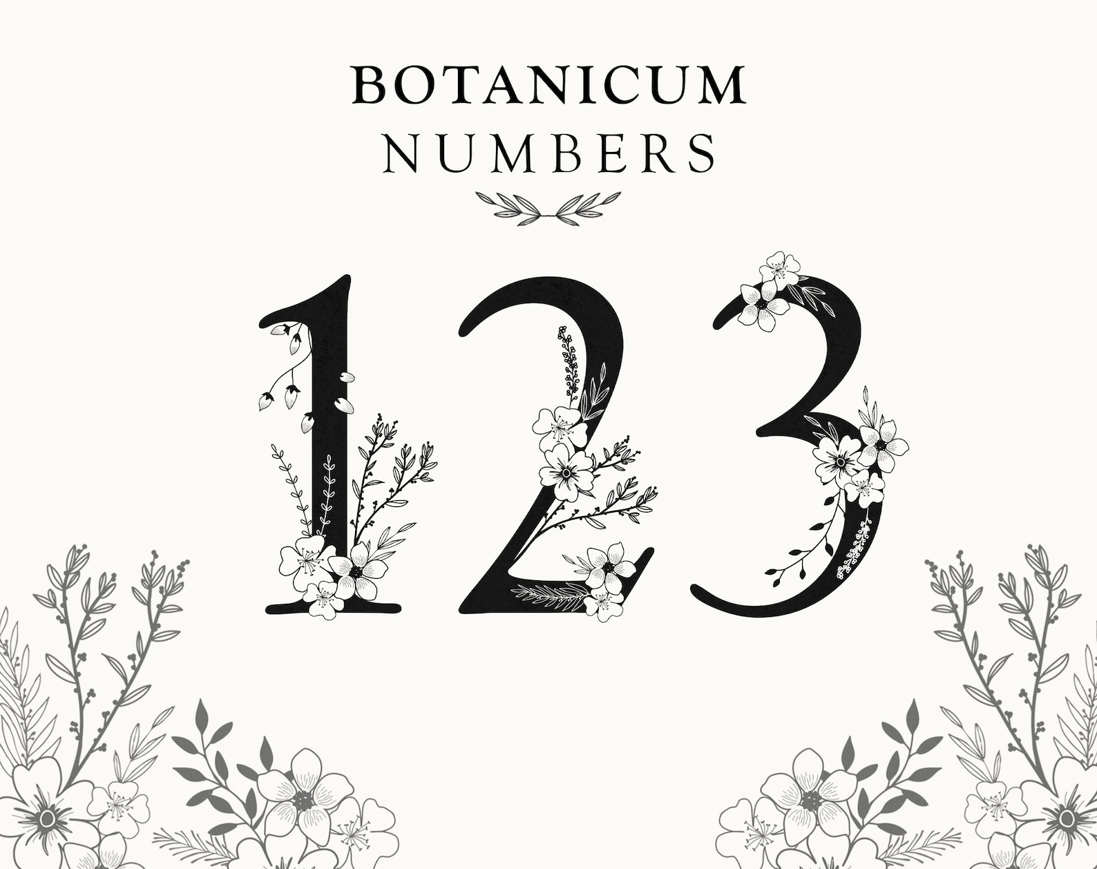 Numbers Clipart, Botanical Clipart, Table Numbers Png, Floral Line Art ...