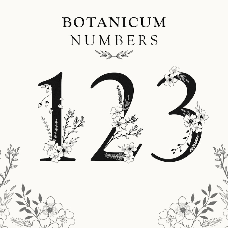 Numbers Clip Art - Etsy