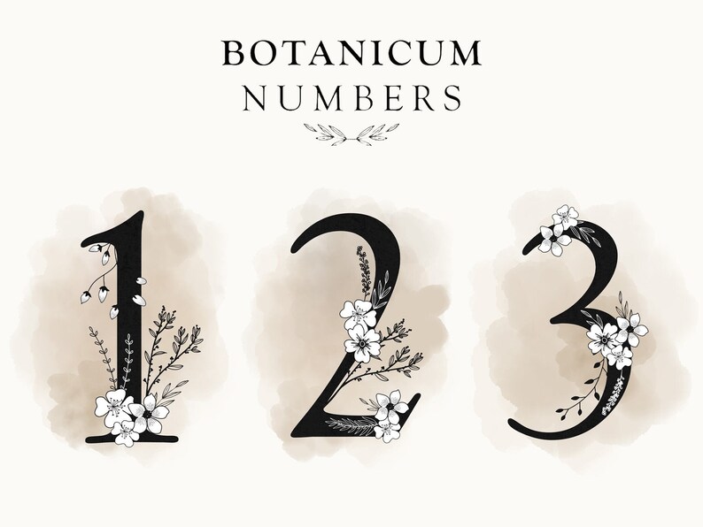 Numbers Clipart, Botanical Clipart, Table Numbers Png, Floral Line Art ...