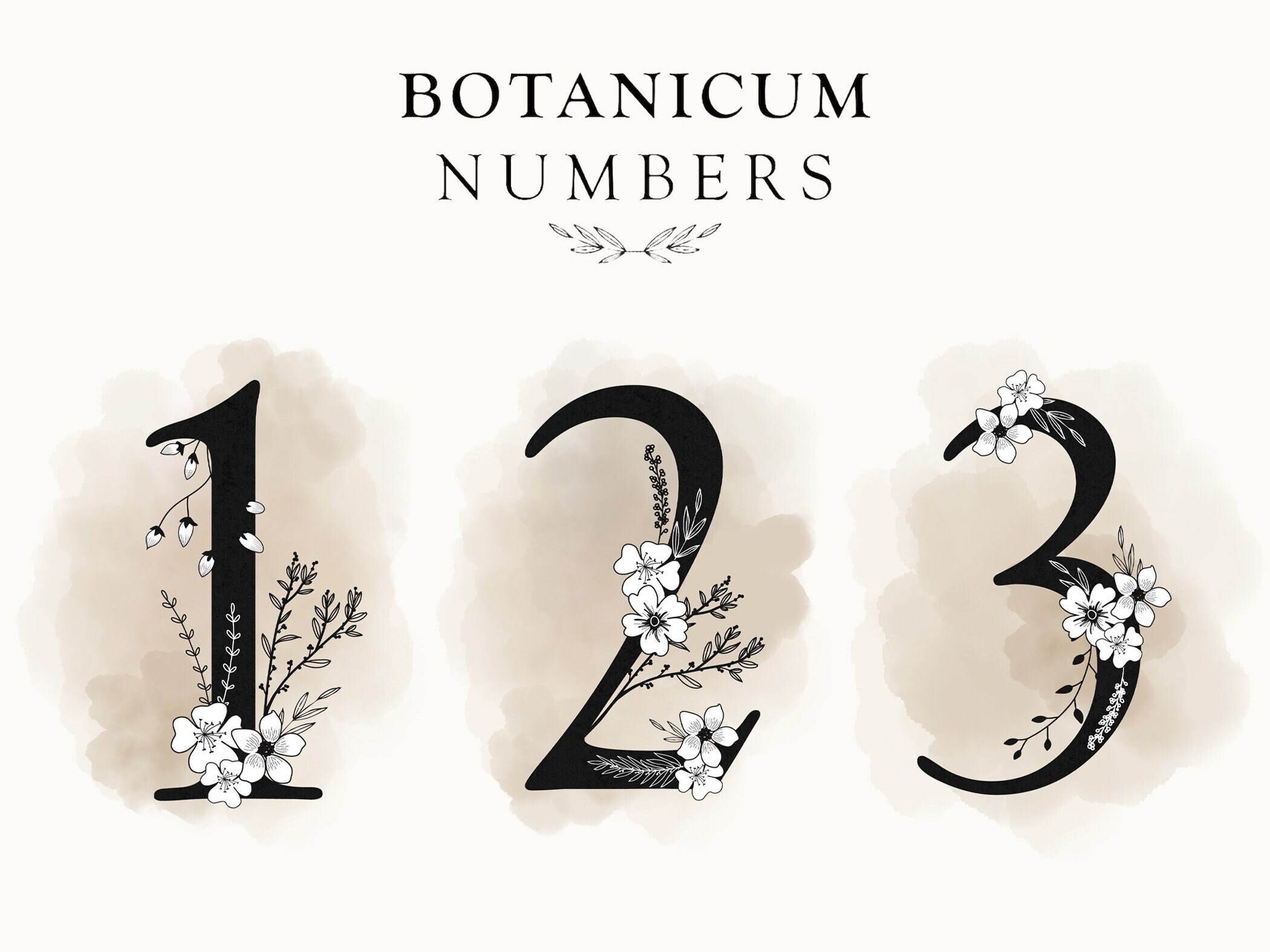 Numbers Clipart, Botanical Clipart, Table Numbers Png, Floral Line Art ...