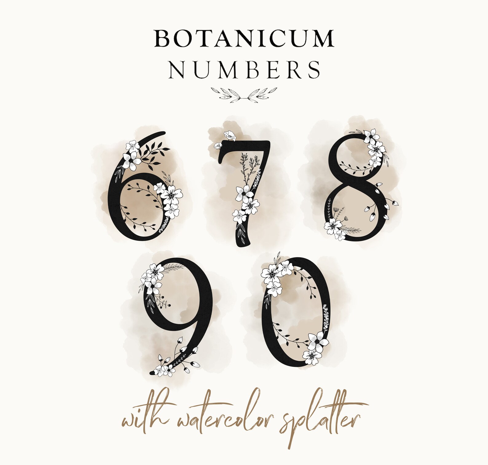Numbers Clipart, Botanical Clipart, Table Numbers Png, Floral Line Art ...