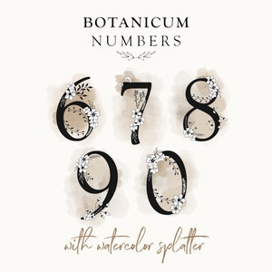 Numbers Clipart, Botanical Clipart, Table Numbers Png, Floral Line Art ...