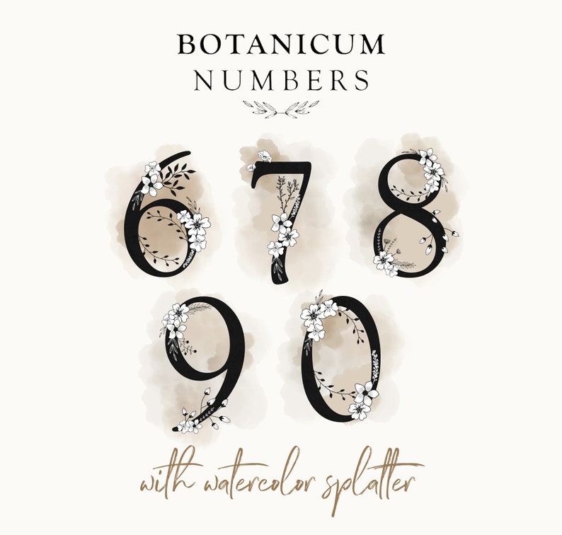 Numbers Clipart, Botanical Clipart, Table Numbers Png, Floral Line Art ...