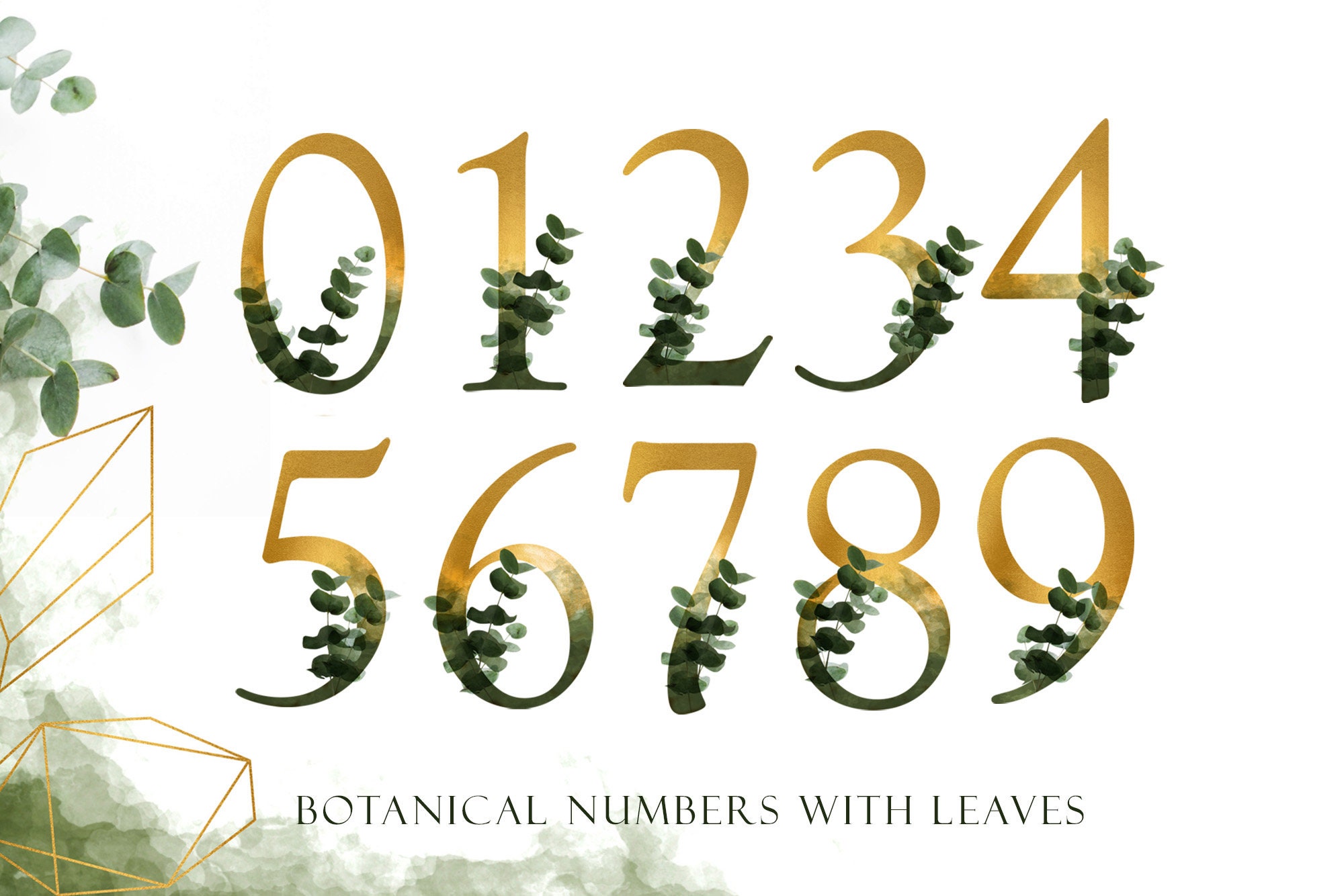 Gold Eucalyptus Numbers Clipart: Botanical Wedding Numbers (26 PNG ...