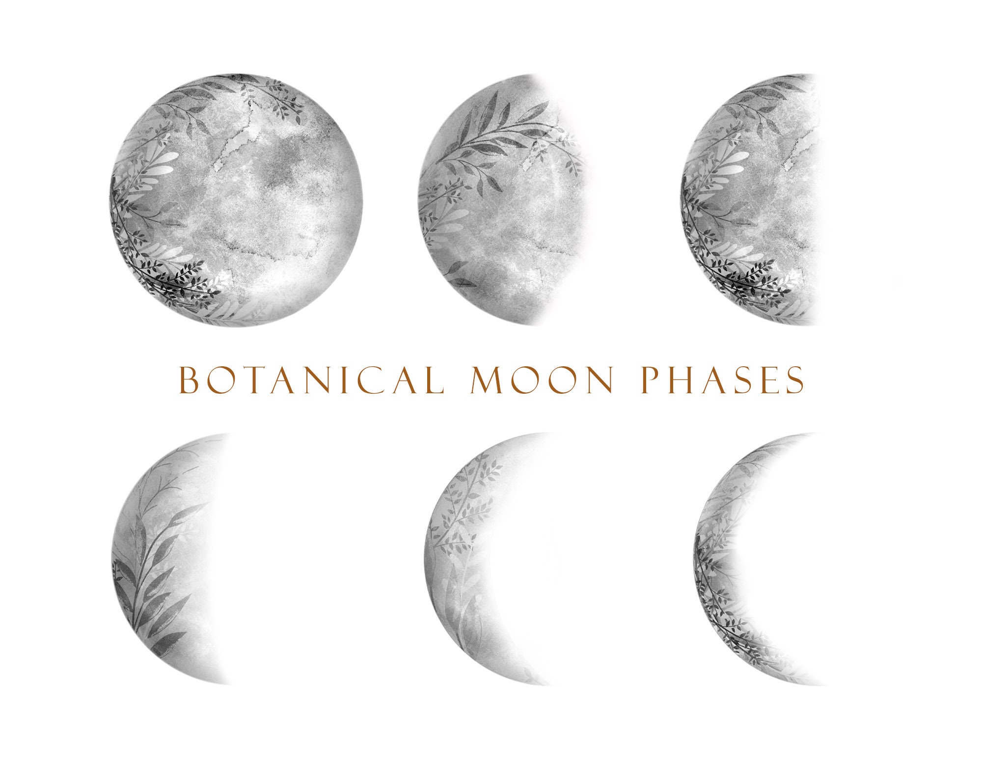 Moon Phases Clip Art