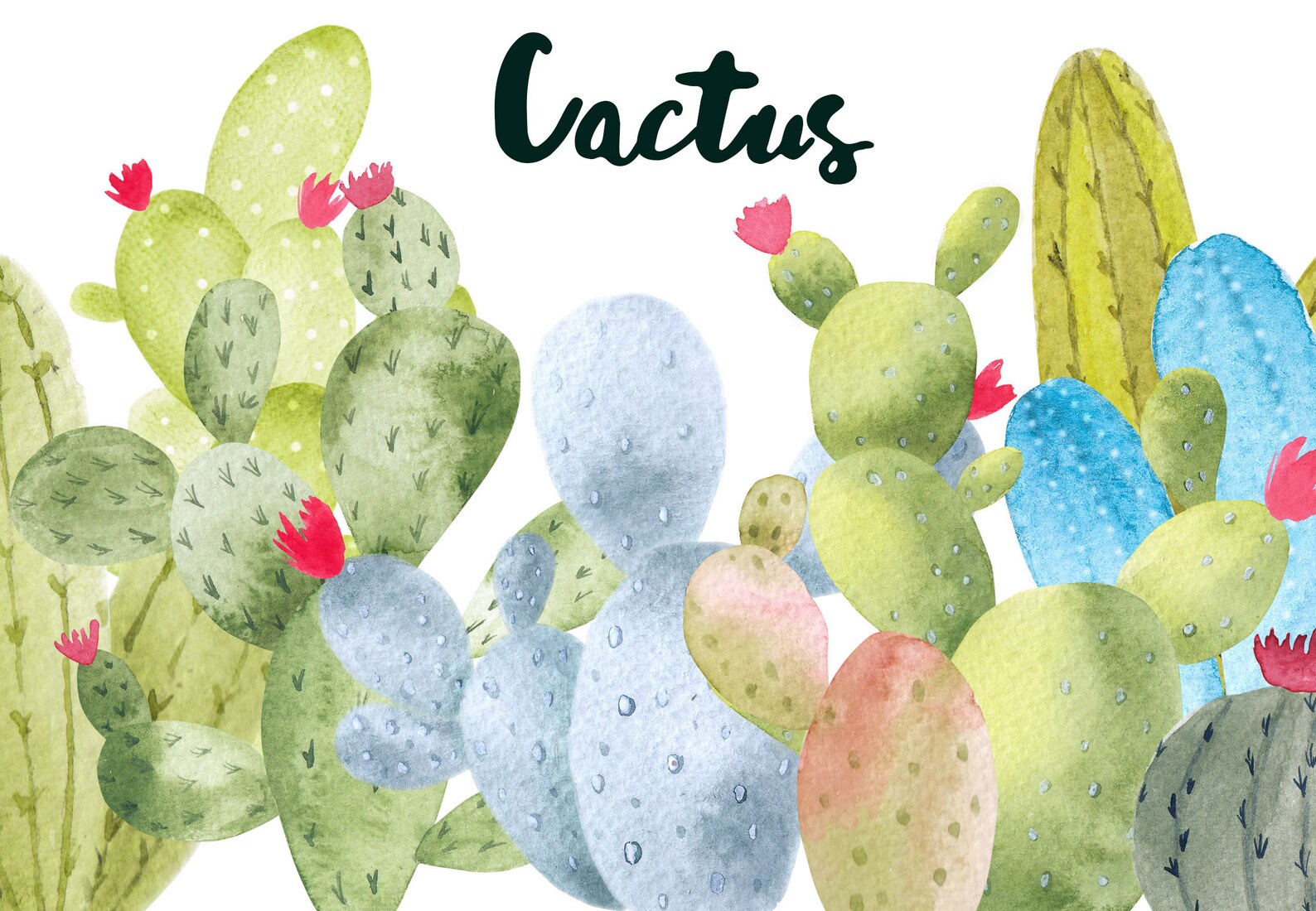 Watercolor Cactus Clipart Desert Watercolor Succulent | Etsy
