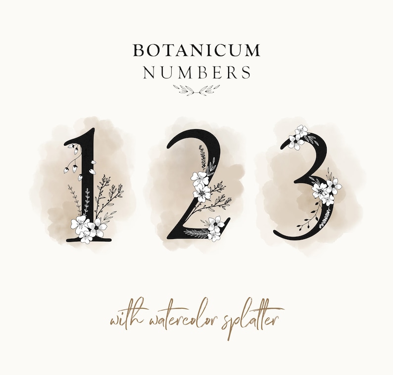 Numbers Clipart, Botanical Clipart, Table Numbers Png, Floral Line Art ...