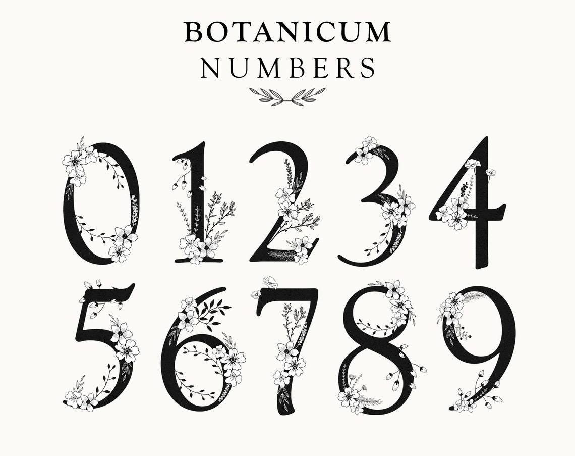 Numbers Clipart Botanical Clipart Table Numbers Png Floral - Etsy
