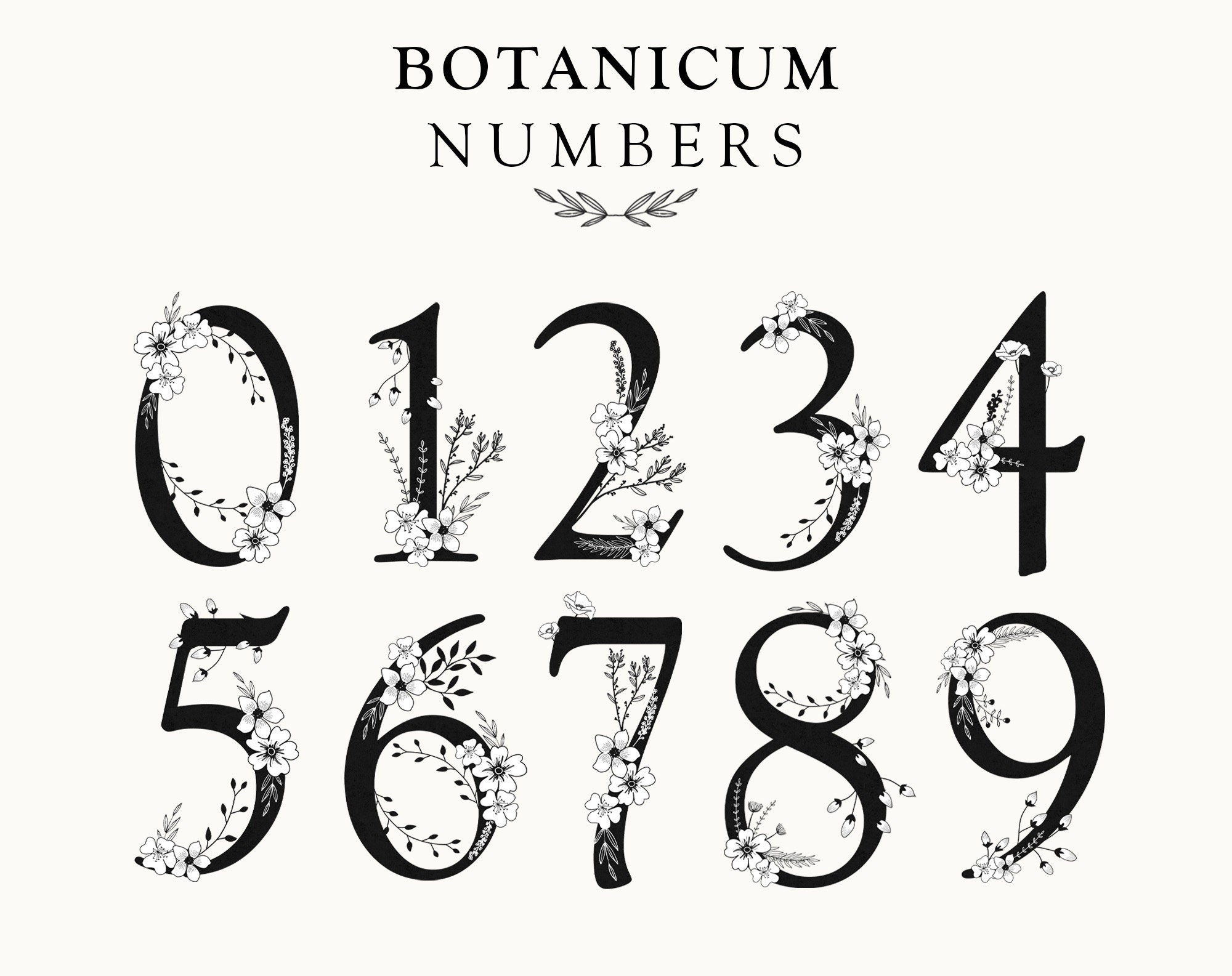 Numbers Clipart Botanical Clipart Table Numbers Png Floral - Etsy