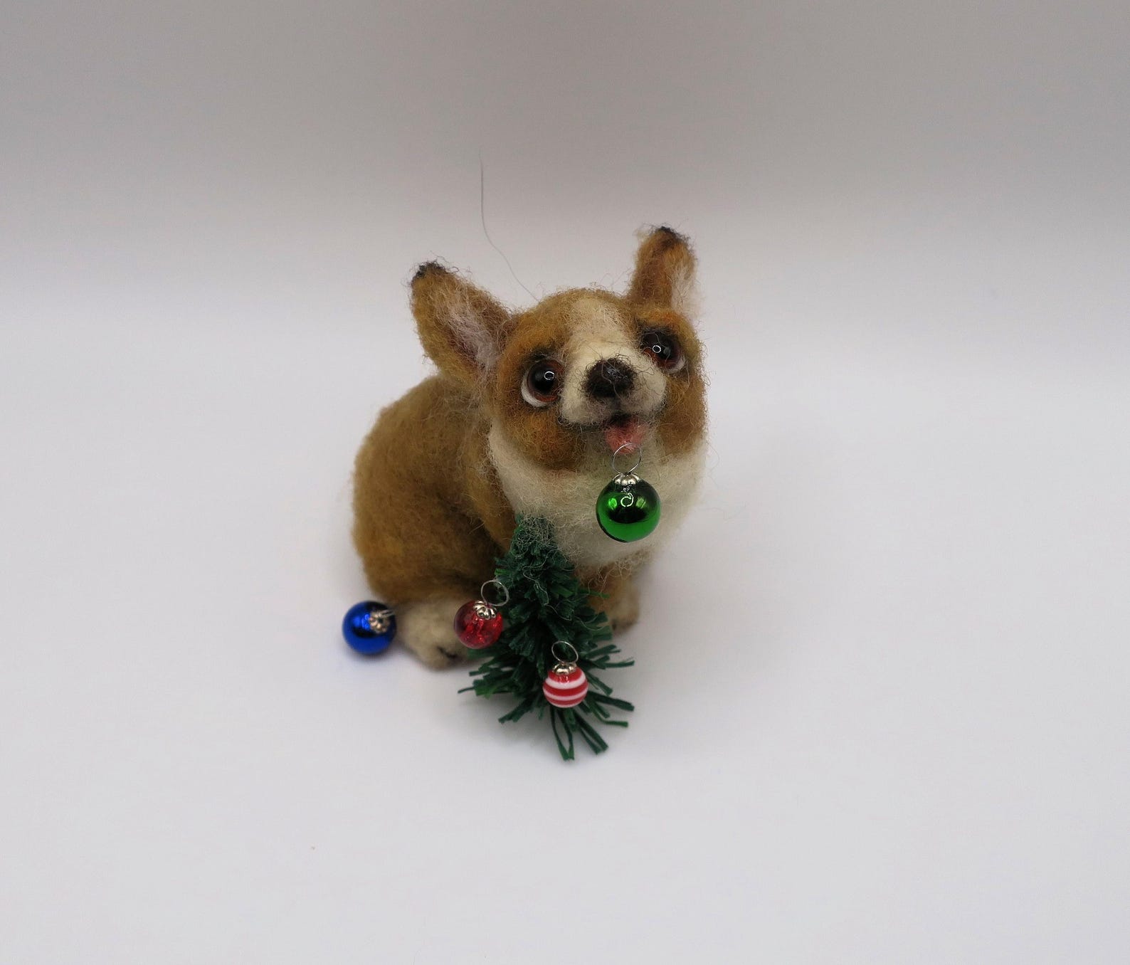 Corgi Corner, A Whole Litter of Corgis Waiting for You to Pick Your New ...