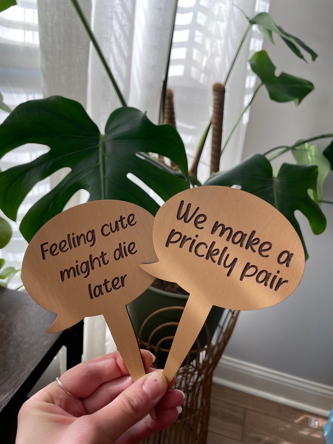 Funny Plant Stake Feeling Cute Might Die Later House Plant Marker ...