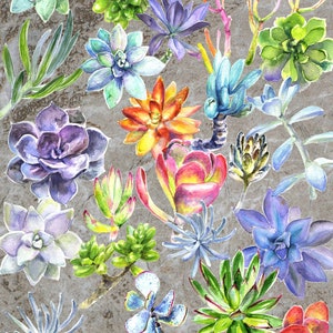 Watercolor Succulent Clip Art BUNDLE Sale, Over 100 Elements, Large ...
