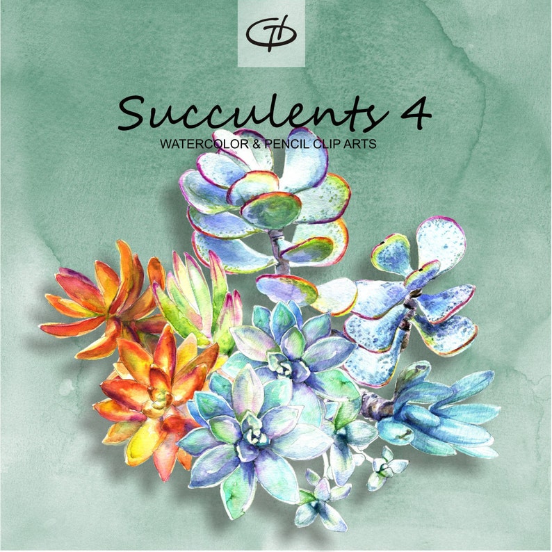 Watercolour & Pencil Succulent Clip Art Set 4- Hand Painted and Hand ...