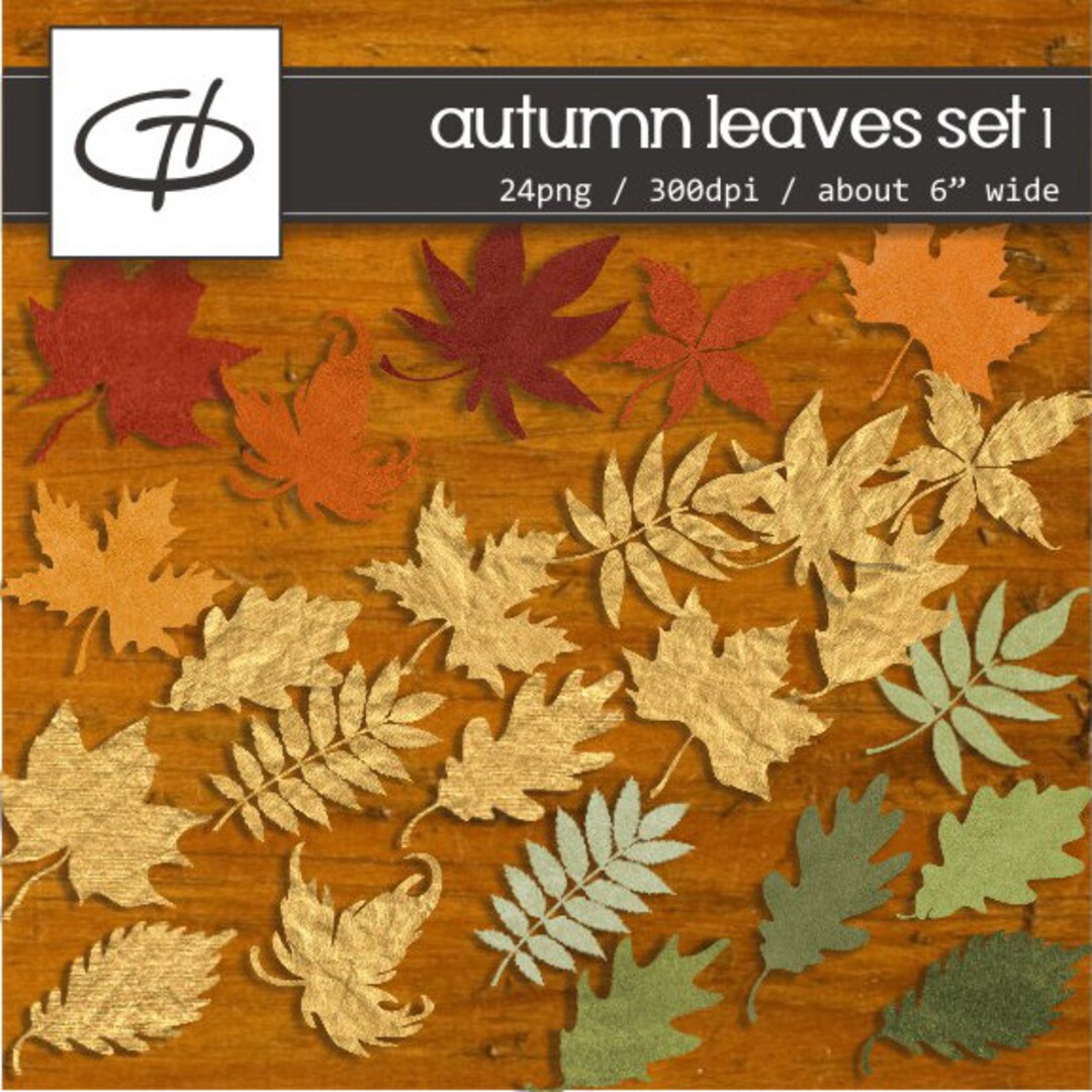 Autumn Leaf Clip Art Set 1: Suede a and Golden Paper,digital Download ...