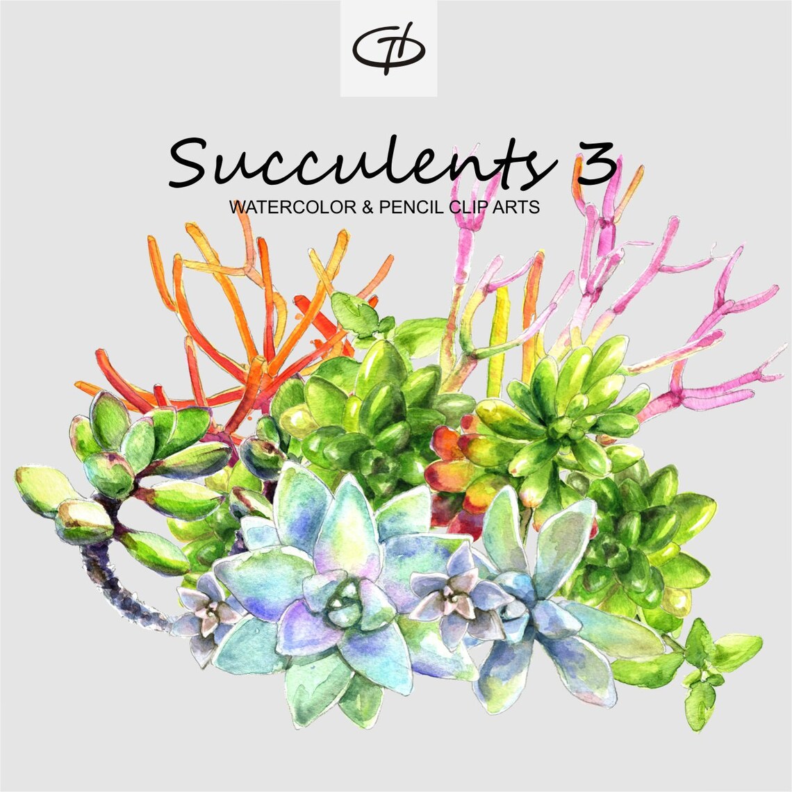 22 Watercolour & Pencil Succulent Clip Art 3- Hand Painted Graphics ...
