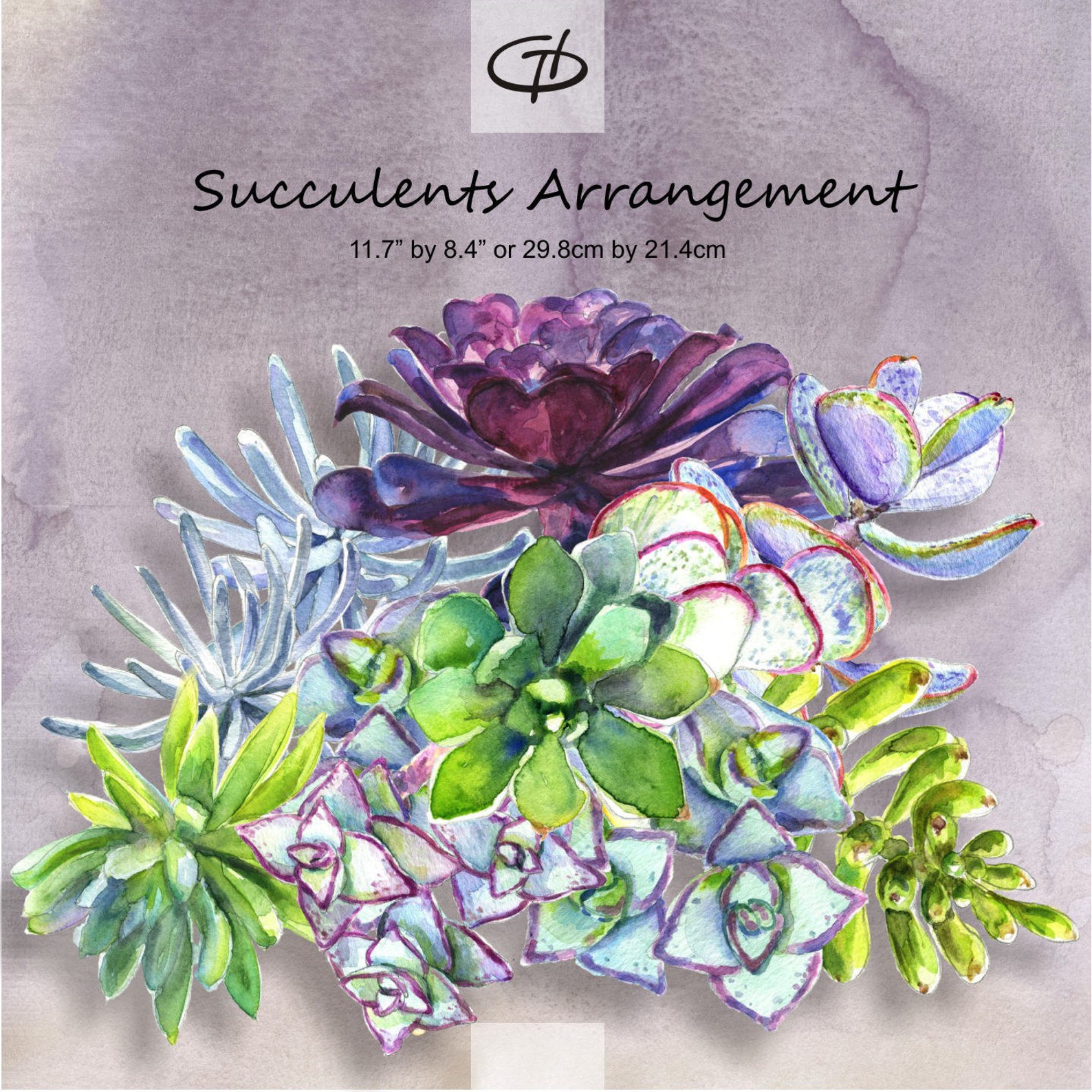 Watercolour & Pencil Succulent Clip Art- Hand Painted Graphics ...