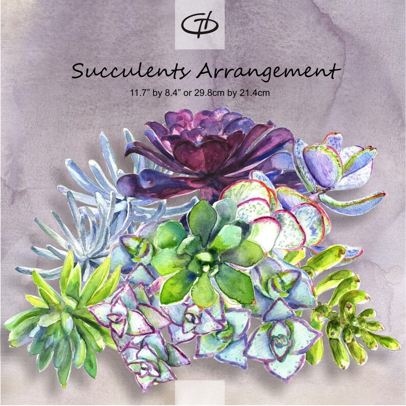Watercolour & Pencil Succulent Clip Art- Hand Painted Graphics ...