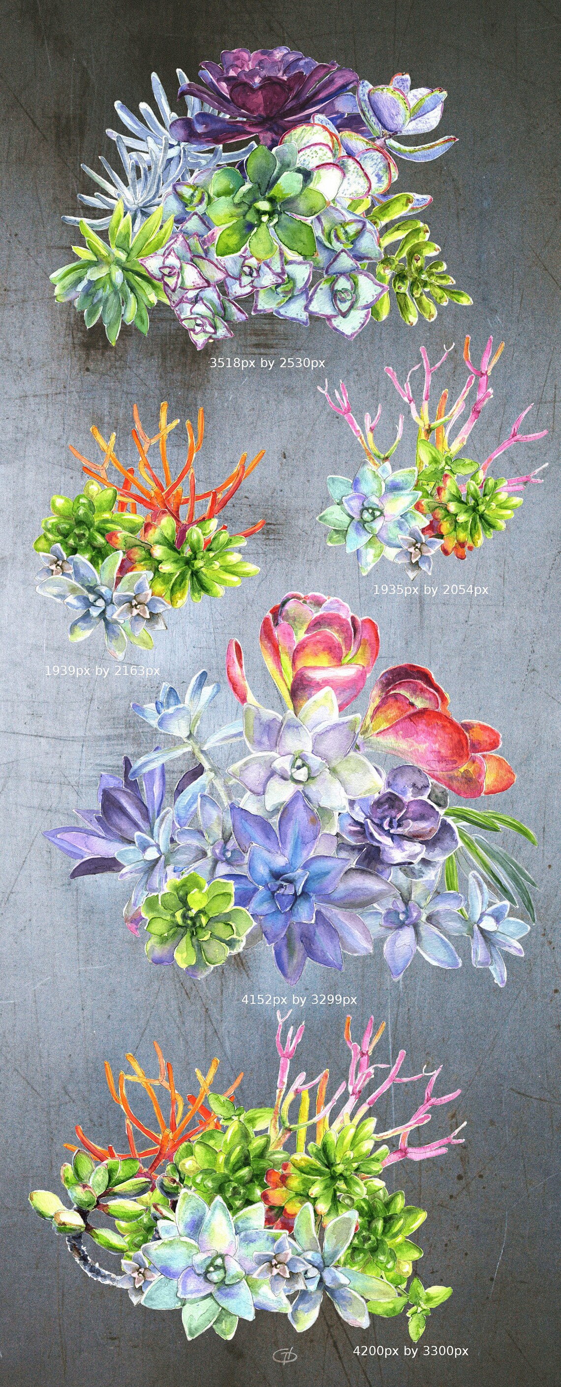 Watercolor Succulent Clip Art BUNDLE Sale, Over 100 Elements, Large ...