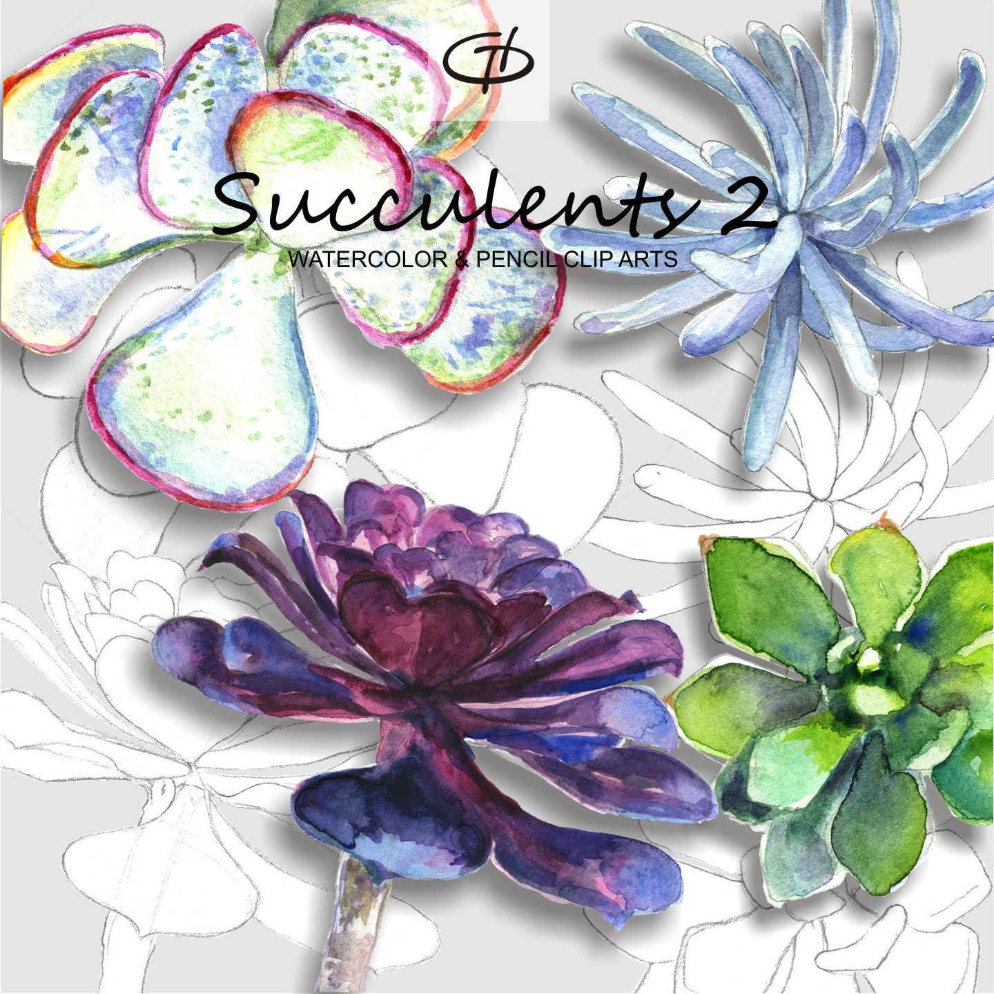 Watercolour & Pencil Succulent Clip Art- Hand Painted Graphics ...